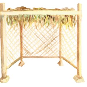 How to build a Sukkot Tent: Sukkah – The Kosher Hub – Find the Best ...